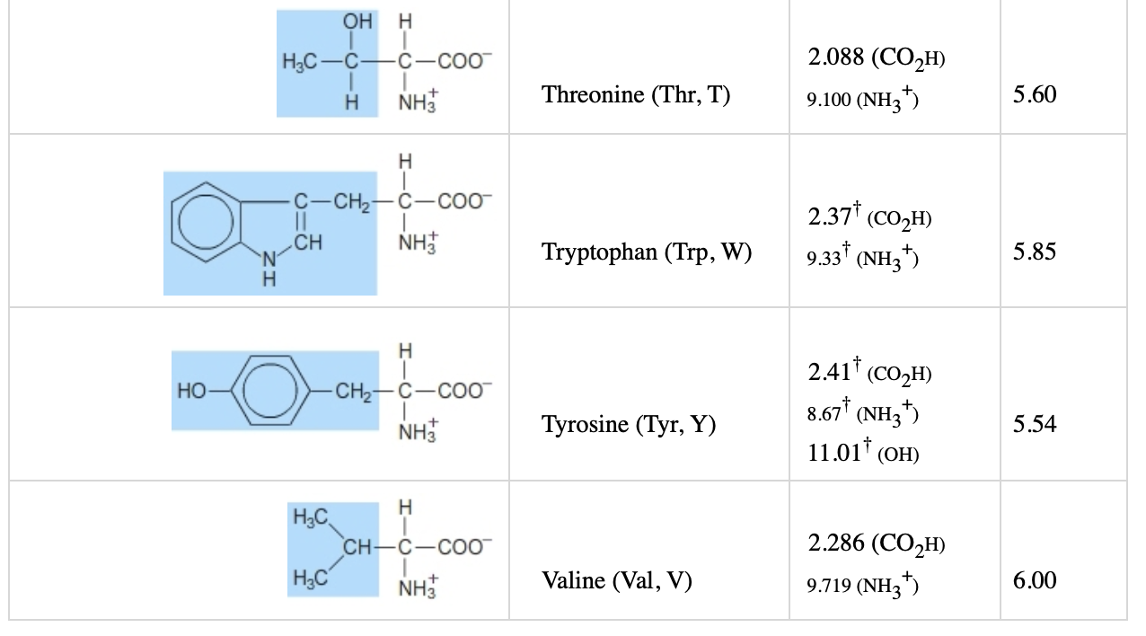 Solved Refer To The Chart Of Amino Acid Structures To Help