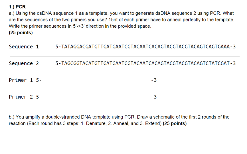 Solved 1.) PCR a.) Using the dsDNA sequence 1 as a template, | Chegg.com