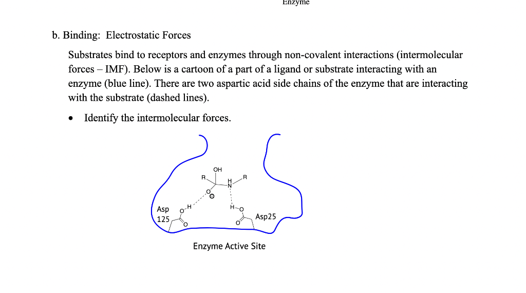 Solved Enzyme b. Binding: Electrostatic Forces Substrates | Chegg.com