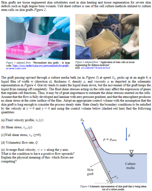 Solved Skin grafts are tissue engineered skin substitutes | Chegg.com