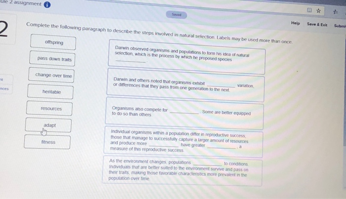 Solved Ule 2 assignment Help Save & Exit Submi following | Chegg.com