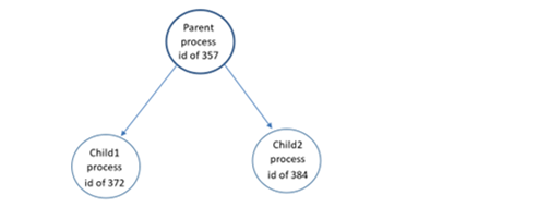 Solved The template C code given in Figure 1 creates the | Chegg.com