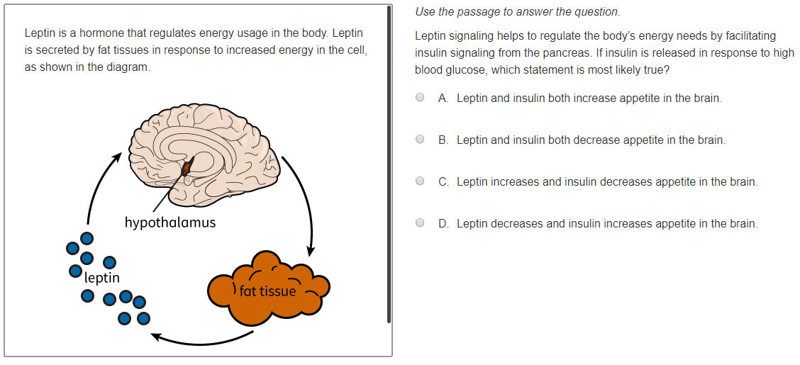 Solved Use the passage to answer the question Leptin is a | Chegg.com