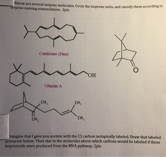 Solved Below are several terpene molecules. Circle the | Chegg.com