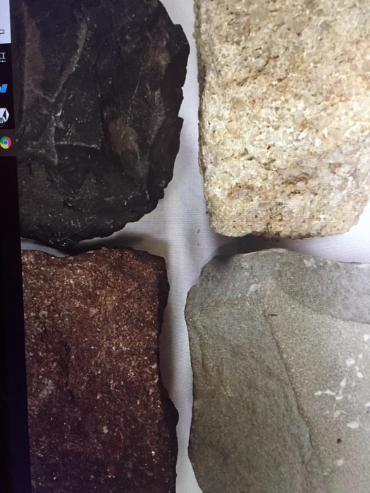 Solved Examine the samples of clastic (A), chemical | Chegg.com