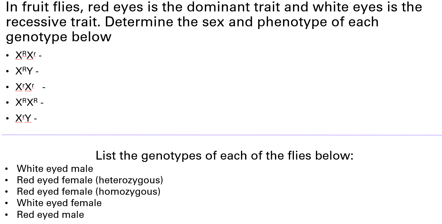 Solved In fruit flies, red eyes is the dominant trait and | Chegg.com