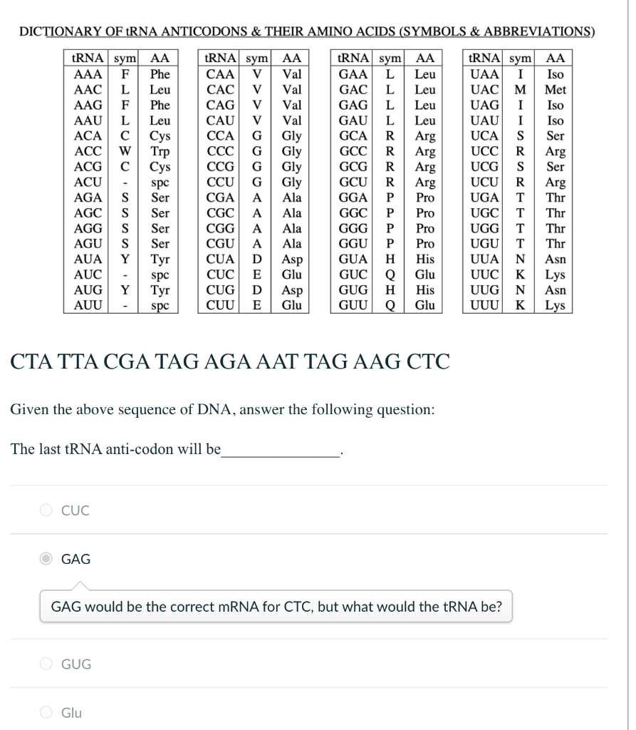 Solved DICTIONARY OF TRNA ANTICODONS & THEIR AMINO ACIDS | Chegg.com