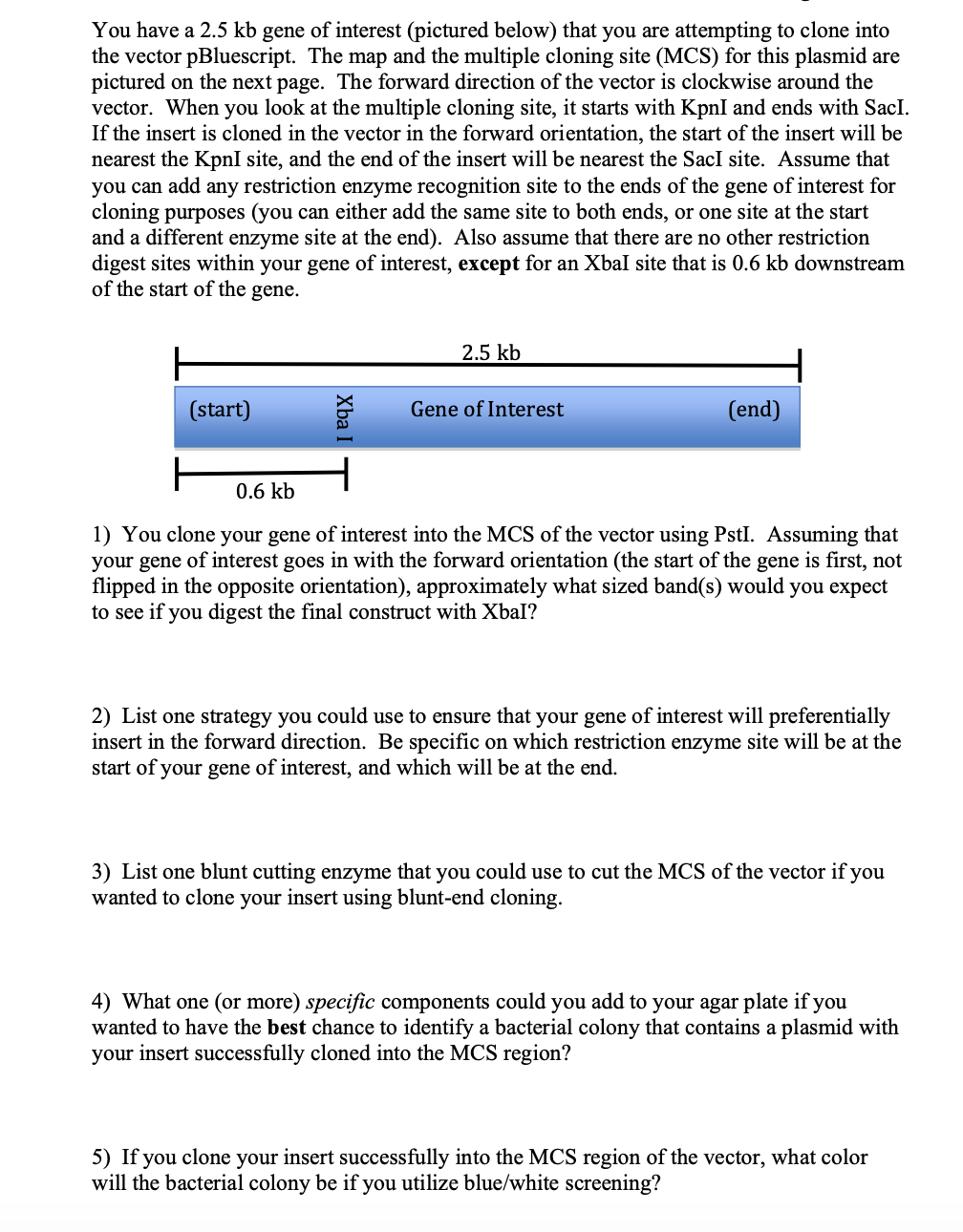 Solved You have a 2.5 kb gene of interest (pictured below) | Chegg.com