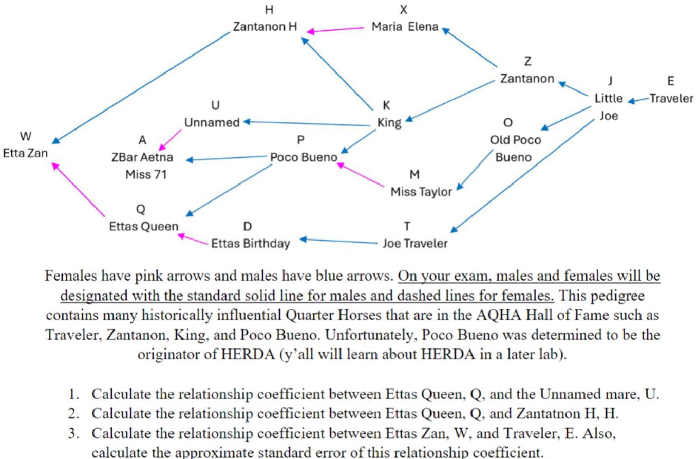 Solved What are the steps to this genetics probelm? | Chegg.com