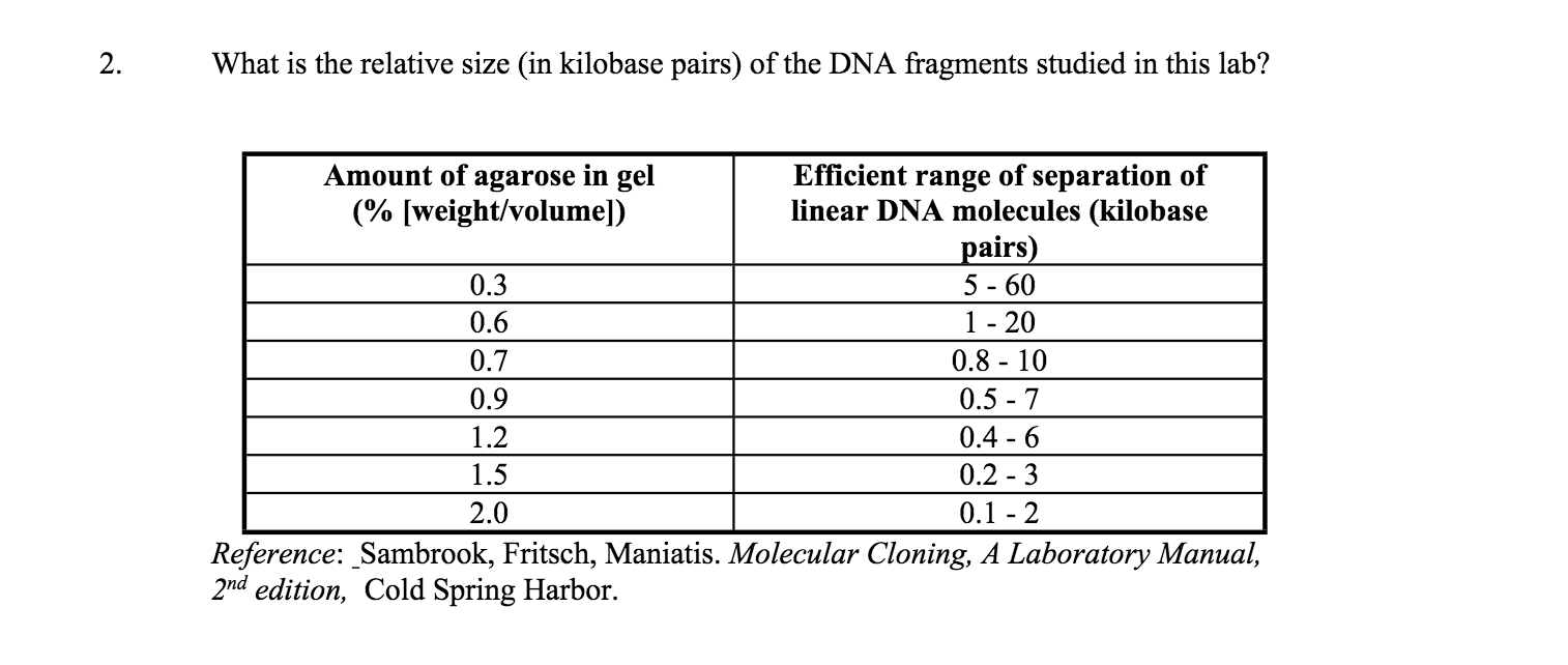 2. What is the relative size (in kilobase pairs) of | Chegg.com
