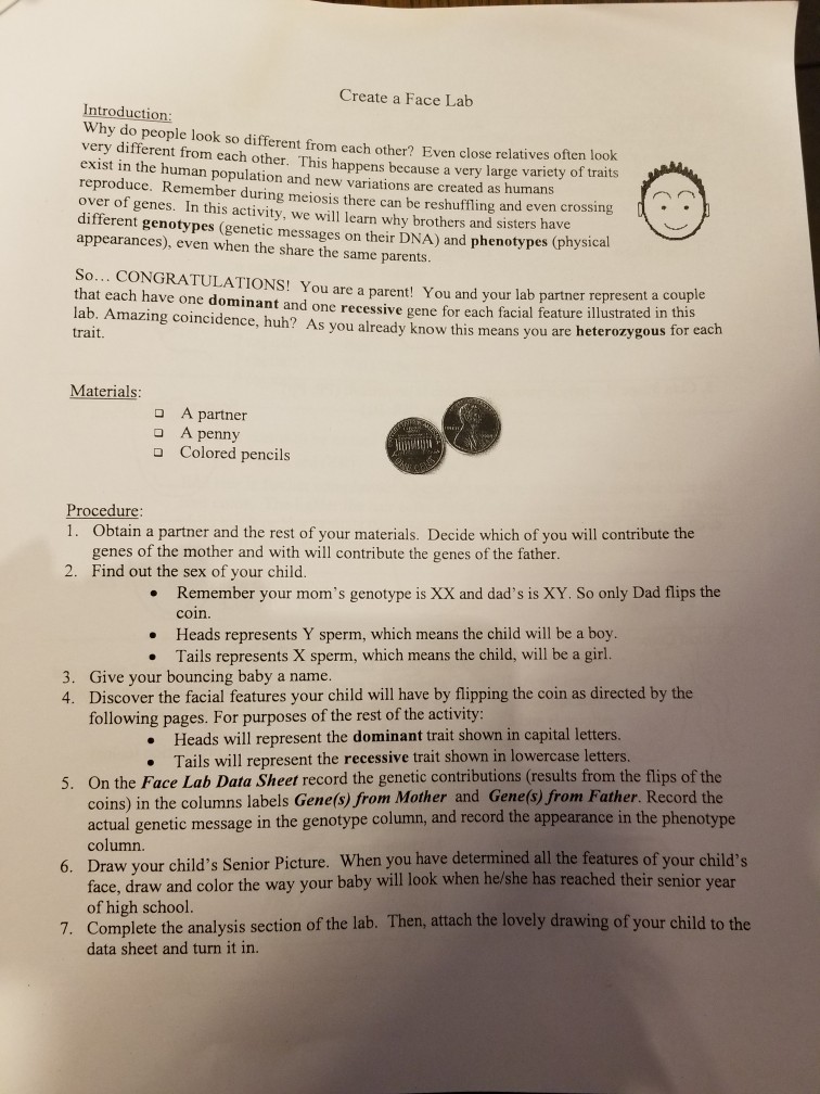 Solved Create a Face Lab Introduction: Why do people look so | Chegg.com
