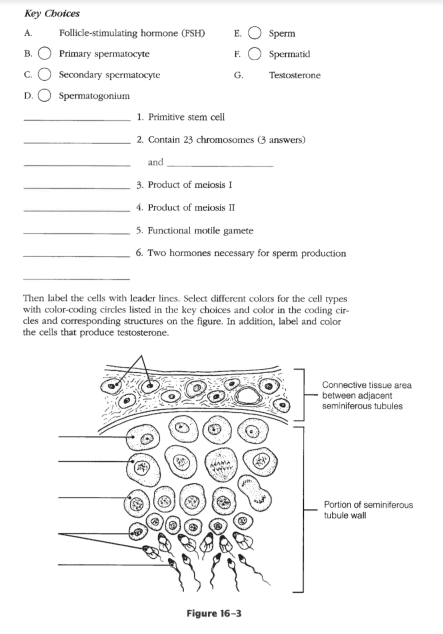 Solved 14. Figure 16-7 is a sectional view of the ovary. | Chegg.com