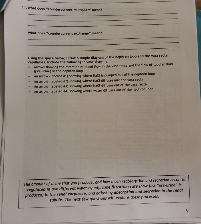 Solved 11. What does "countercurrent multiplier" mean? What | Chegg.com