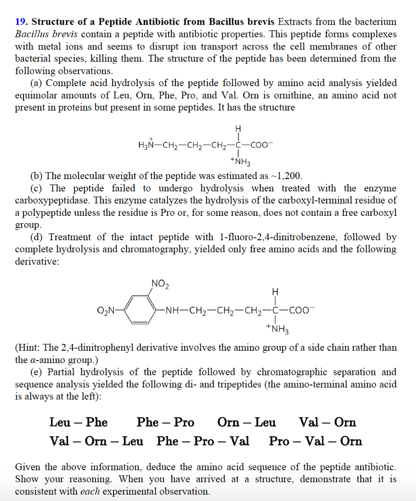 Solved 19. Structure of a Peptide Antibiotic from Bacillus | Chegg.com