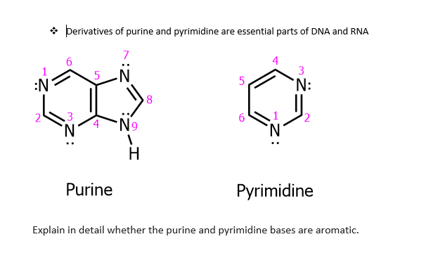 Solved Derivatives of purine and pyrimidine are essential | Chegg.com