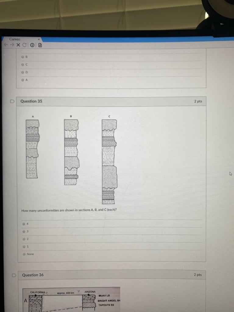 Canvas > X N Mud cracks Ripple marks Cross bedding | Chegg.com
