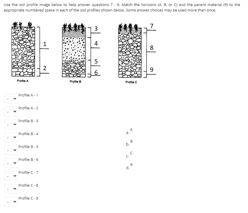 Solved Use the soil profile image below to help answer | Chegg.com