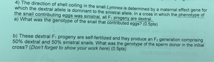 Solved The direction of shell coiling in the snail Lymnea is | Chegg.com