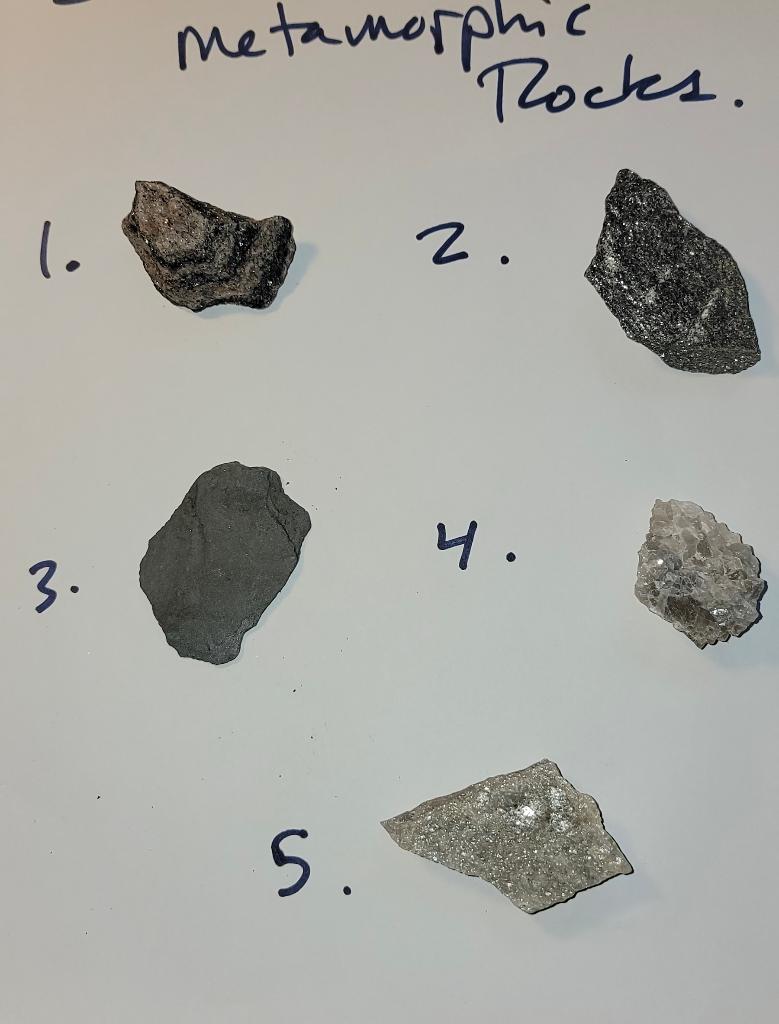 Solved METAMORPHIC ROCKS WORKSHEET Figure A7.4.1 Name: | Chegg.com