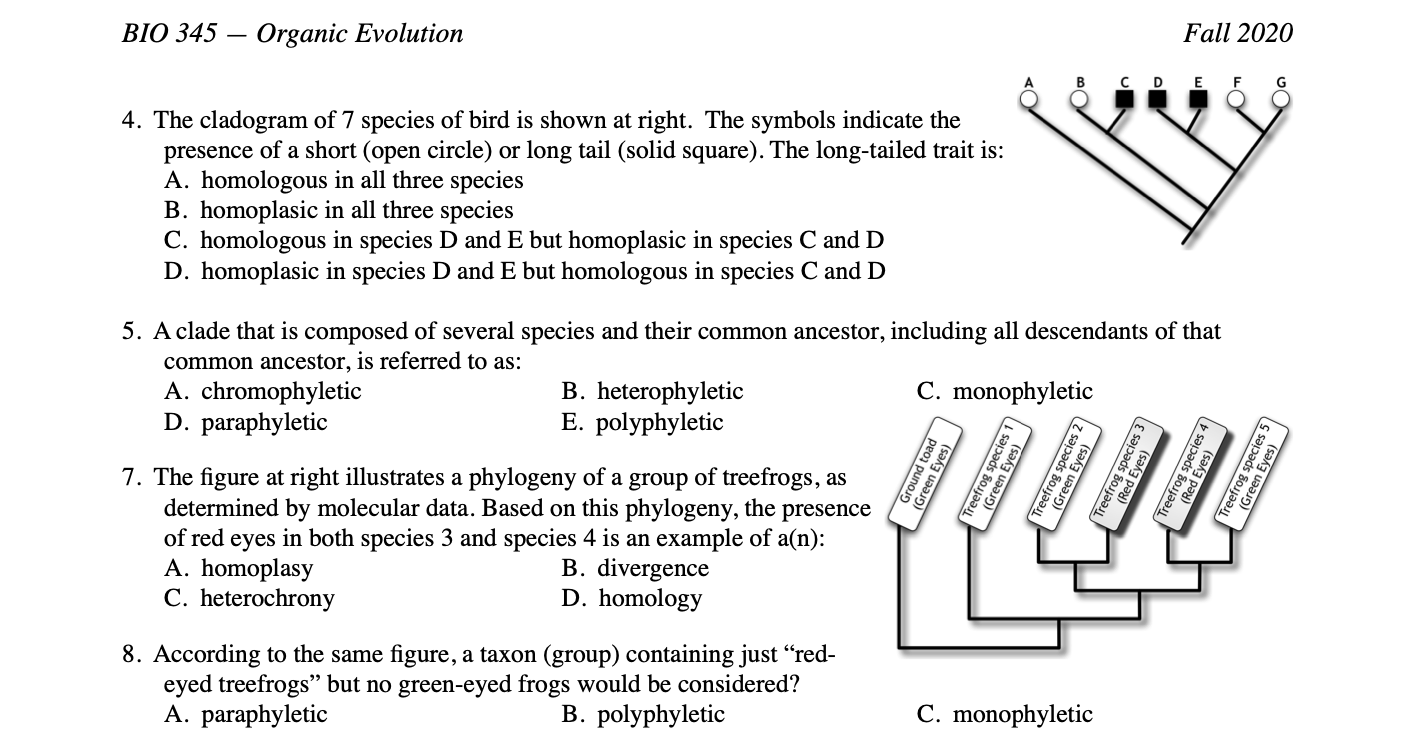 Solved ben BIO 345 – Organic Evolution Fall 2020 D E 4. The | Chegg.com