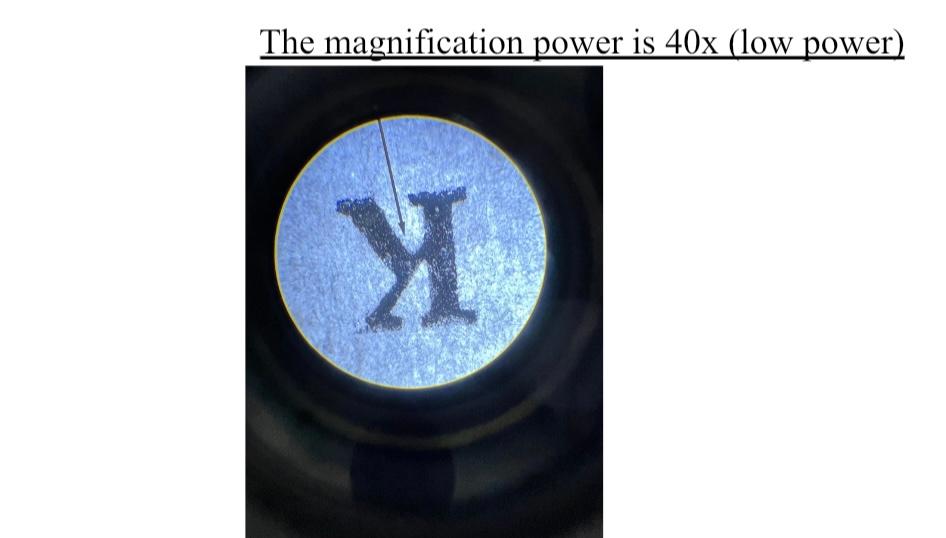 Solved The magnification power is 40x (low power) | Chegg.com