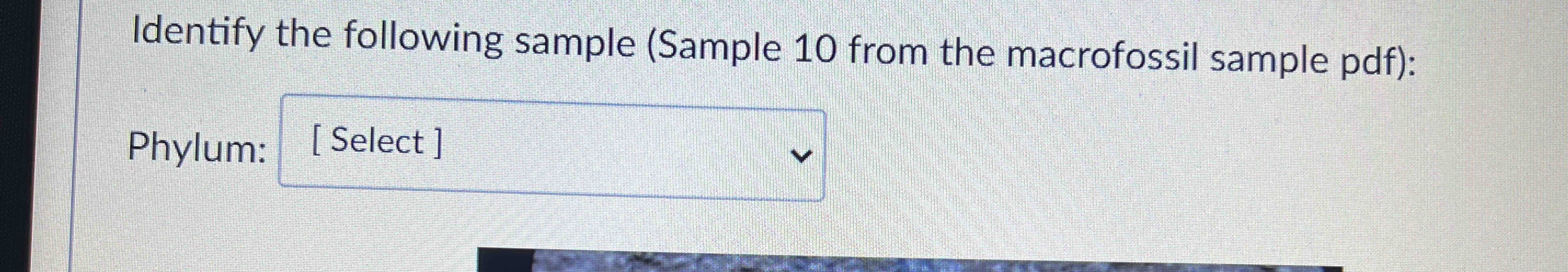 Solved Identify the following sample (Sample 10 ﻿from the | Chegg.com