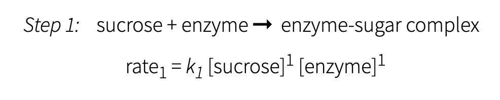 Solved Step 1: sucrose + enzyme → enzyme-sugar complex rate | Chegg.com