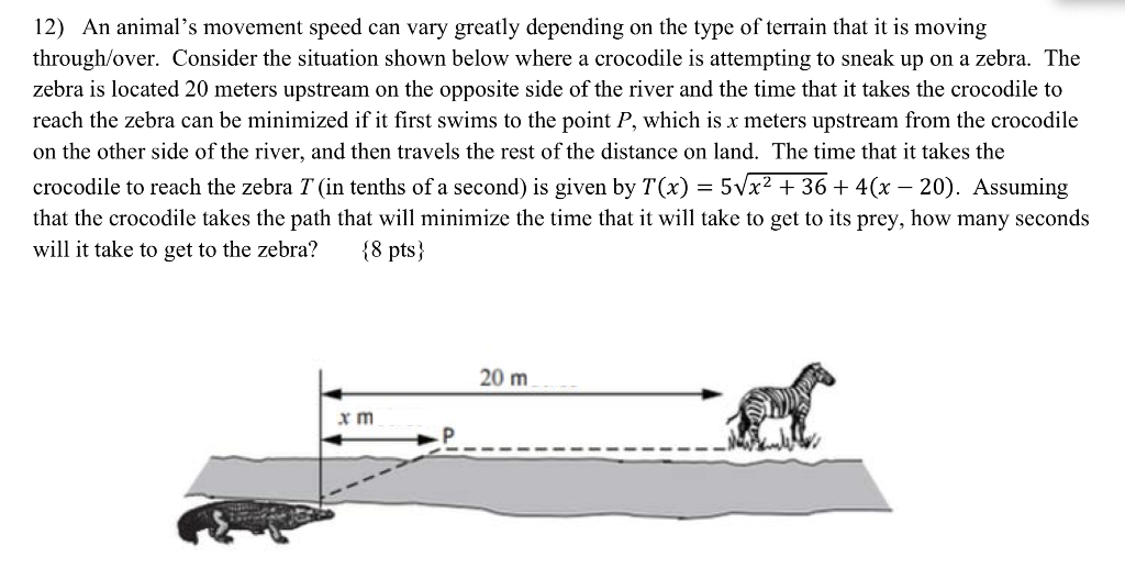 Solved 12) An animal's movement speed can vary greatly | Chegg.com