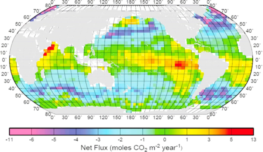 Solved In the below figure, the net flux of CO2 from the | Chegg.com