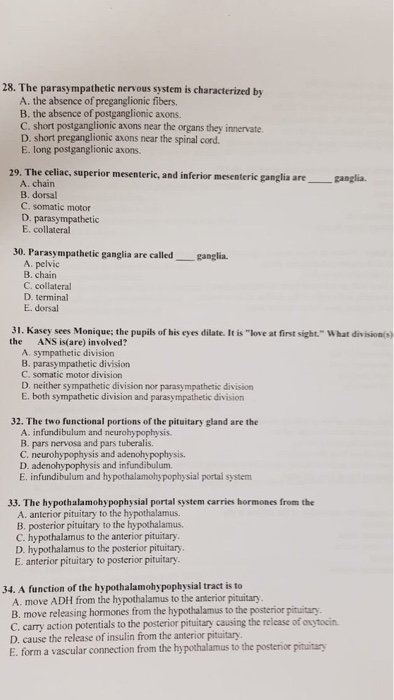 Solved 28. The parasympathetic nervous system is | Chegg.com