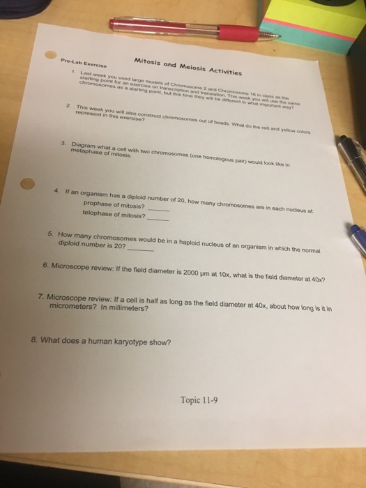 Mitosis and Meiosis Activities Pre-Lab Ex 1. Last | Chegg.com