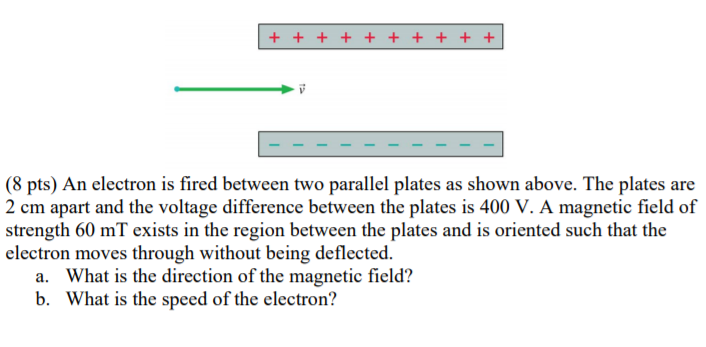 Solved + + + + + + + + + + - - - - - - - - - - (8 pts) An | Chegg.com