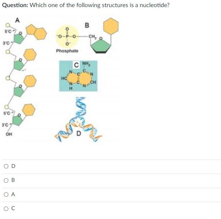 Solved SLC24A5 is a protein that was discovered as being | Chegg.com