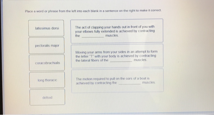 Solved Place a word or phrase from the left into each blank | Chegg.com