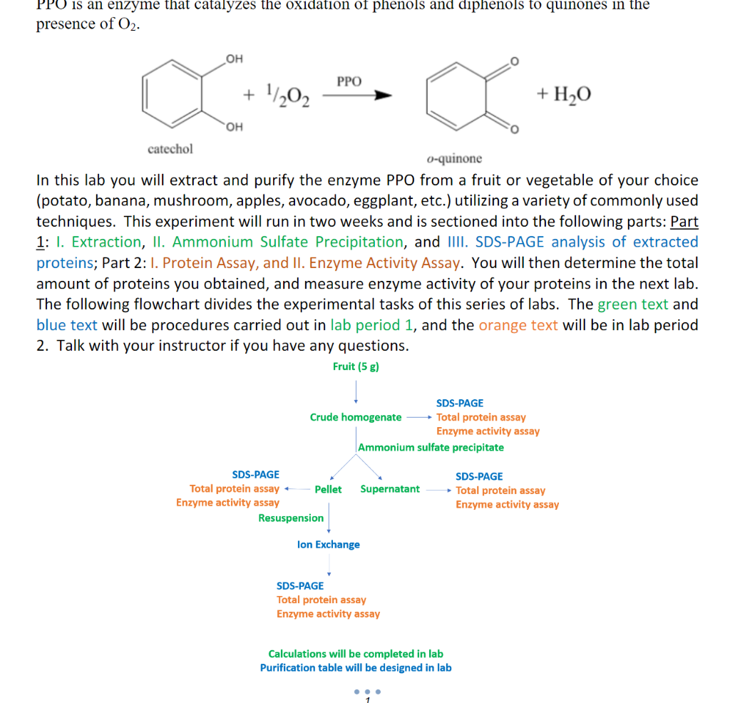 Solved PPO is an enzyme that catalyzes the oxidation of | Chegg.com