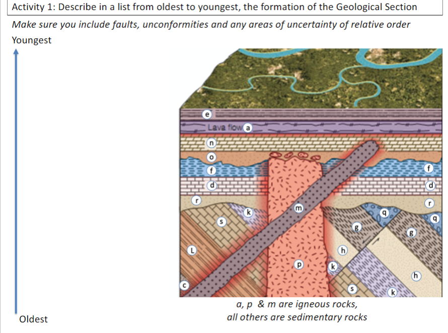 Solved Activity 1: Describe in a list from oldest to | Chegg.com