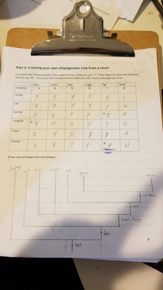 Solved Part 3: Creating your own phylogenetic tree from a | Chegg.com