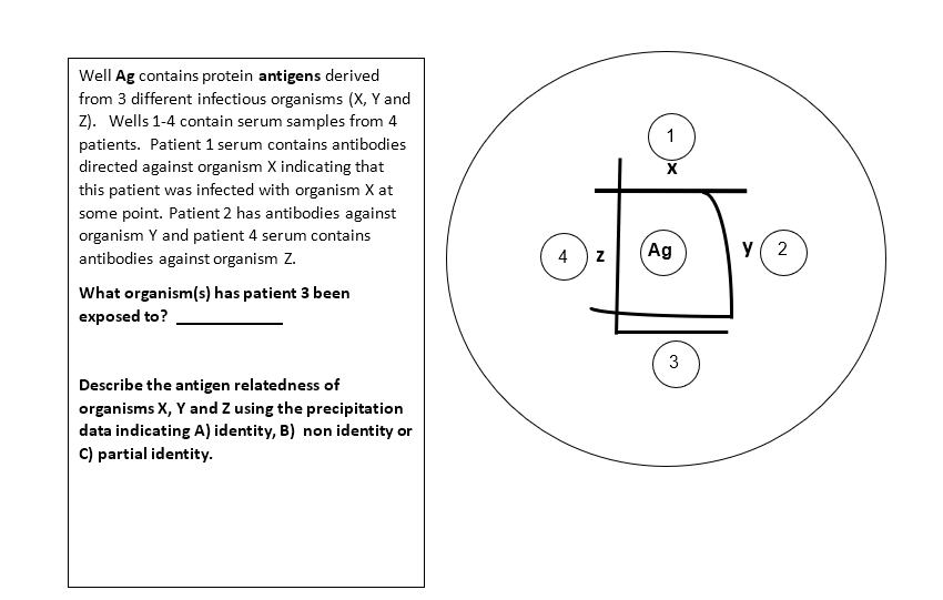 Solved B с A Define the antigen relatedness as 1. Reaction | Chegg.com