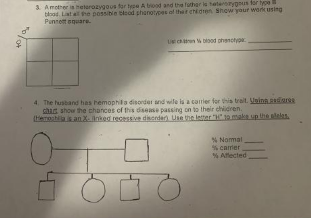 Solved A mother heterozygous for type A blood and the father | Chegg.com