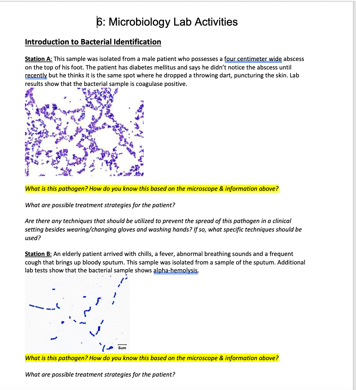 Solved 6: Microbiology Lab Activities Are there any | Chegg.com