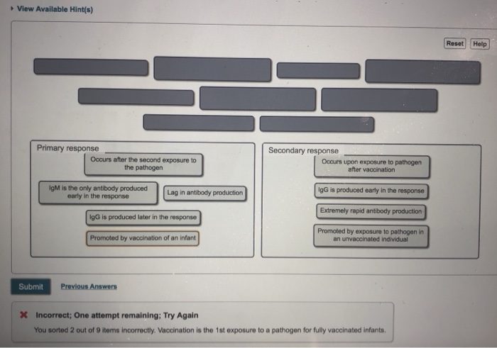 Solved View Available Hint(s) Reset Help Primary response | Chegg.com