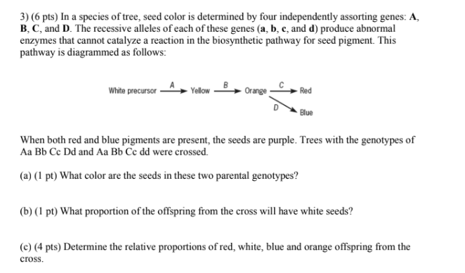 Solved 3) ( 6pts ) In a species of tree, seed color is | Chegg.com