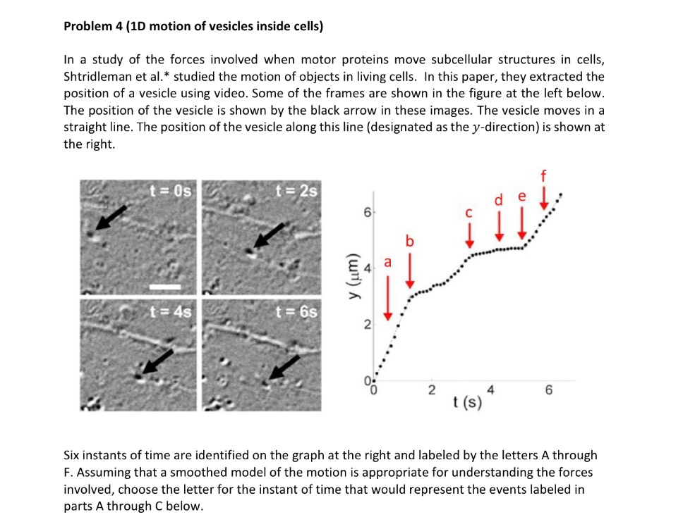 Solved B. The instant of time at which the vesicle is moving | Chegg.com