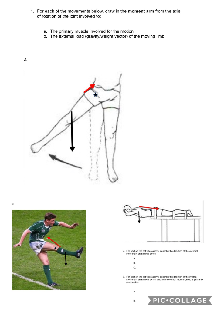 Solved If you can answer all 3 pictures so I can check my | Chegg.com