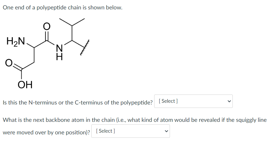 Solved One end of a polypeptide chain is shown below.Is this | Chegg.com