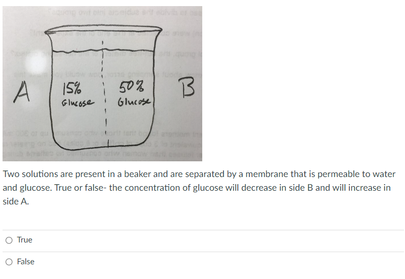 [Solved]: The transport of glucose into some cells require