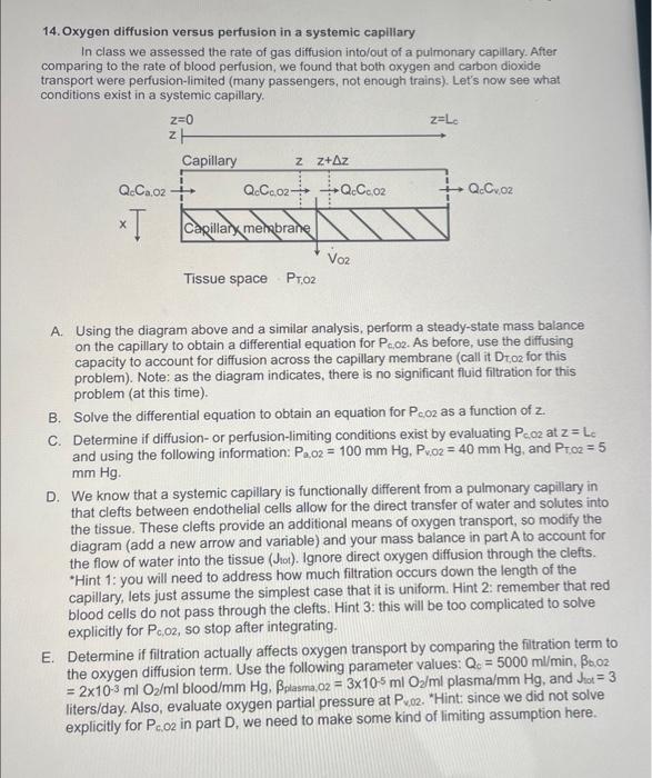 Solved 14. Oxygen diffusion versus perfusion in a systemic | Chegg.com