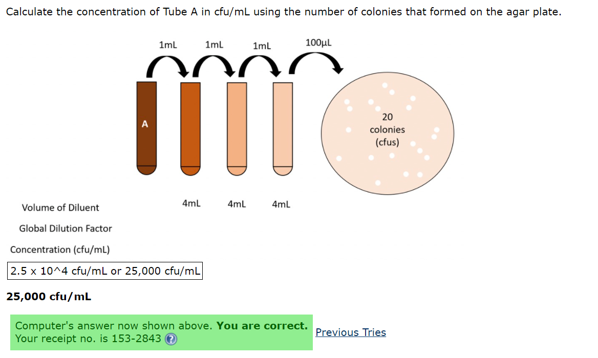 Solved Calculate the concentration of Tube A in cfu/mL using | Chegg.com