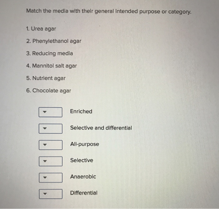 Solved Match the media with their general intended purpose | Chegg.com