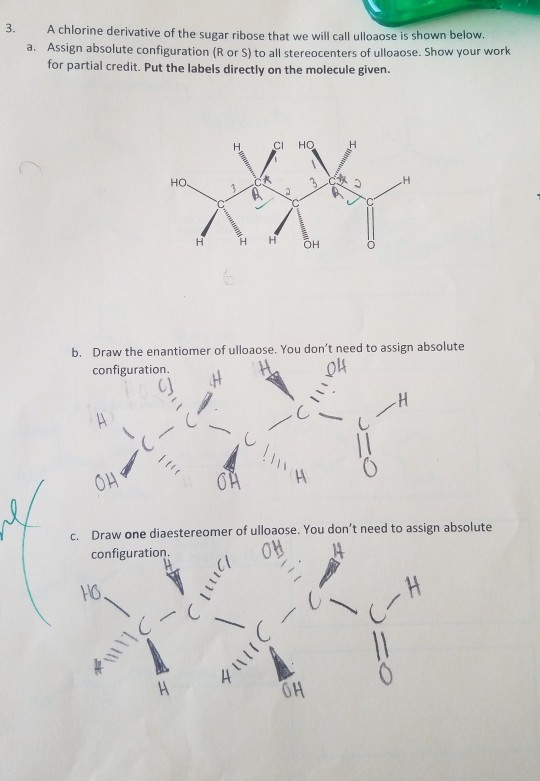 Solved a. assign absolute configuration (R or S) to all | Chegg.com
